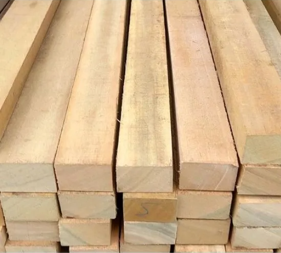 Apa Itu Kayu Usuk? Panduan Lengkap untuk Memahami Jenis Kayu Ini