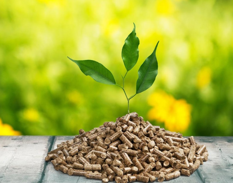 Apa Itu Biomassa? Pengertian, Jenis, dan Manfaatnya - Bengkeltv.id